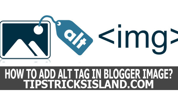 Optimize images with ALT Attribute Tag to increase Traffic - An Island ...